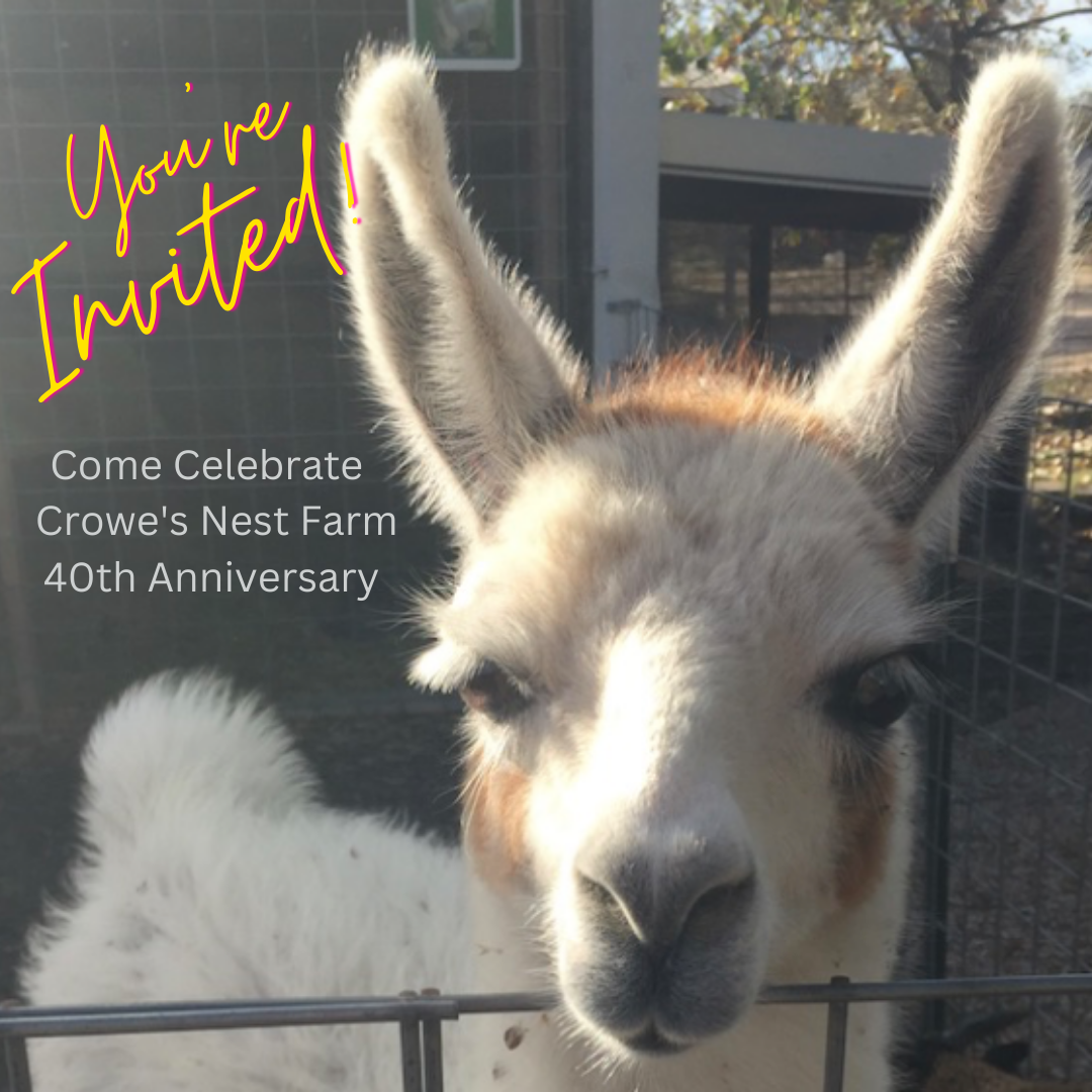 Crowe's Nest Farm Fall Fest - Celebrating 40 years! | Manor, TX ...