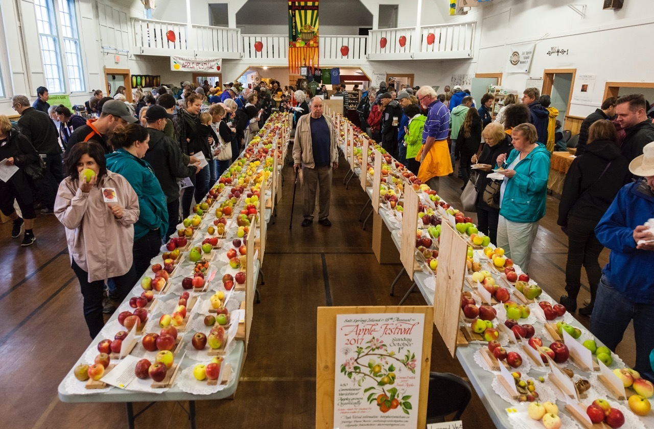 The 2023 Salt Spring Apple Festival | Salt Spring Island, | Festivals.com