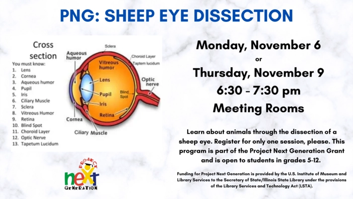 Aqueous Humor Sheep Eye