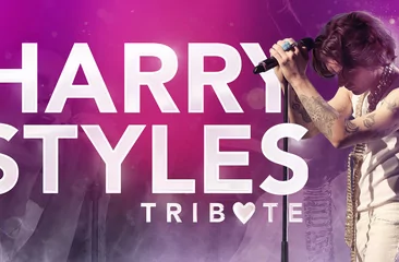 harry styles worcester